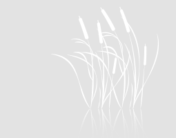 Patoka Capital | Team